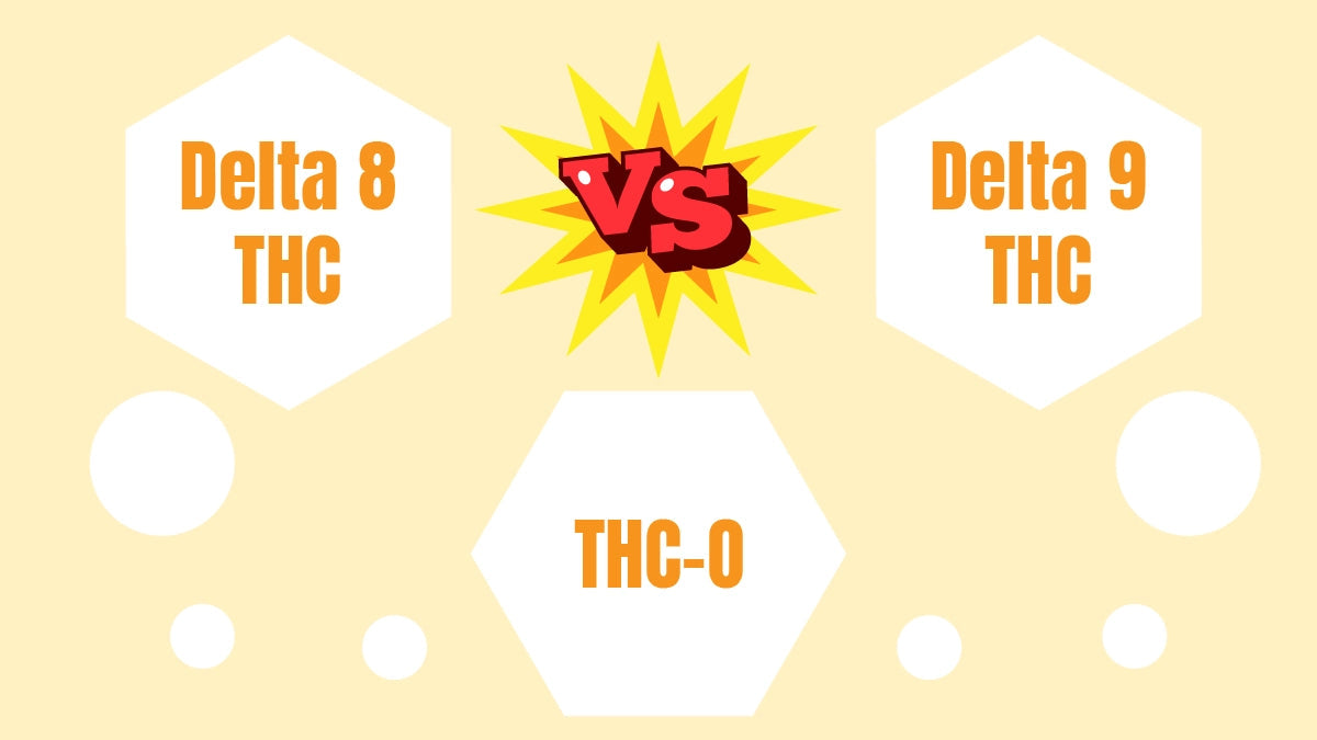 THC-O vs. Delta-8 vs. Delta-9 THC: What Are the Differences? – SoKO Shop